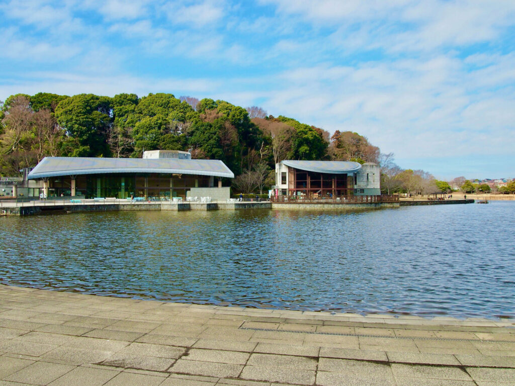 【松戸市】21世紀の森と広場はこんな公園！遊具や癒しスポットを画像で紹介 - DotChiba（ドットちば）