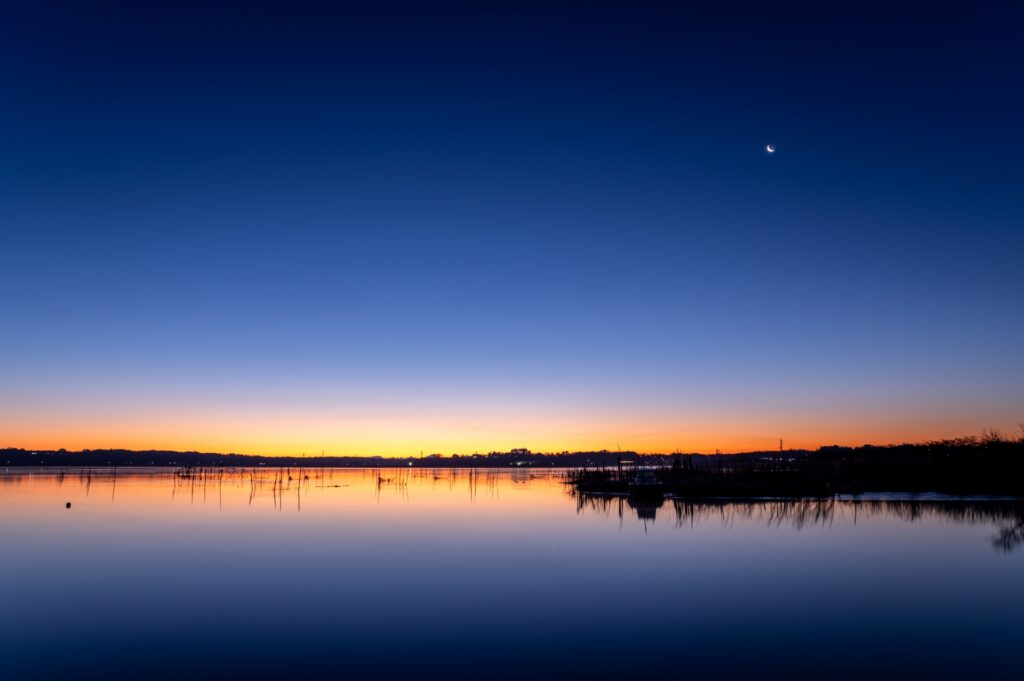【印西市】豊かな水と緑に囲まれた歴史公園「千葉県立印旛沼公園」で自然を満喫しよう！ - DotChiba（ドットちば）